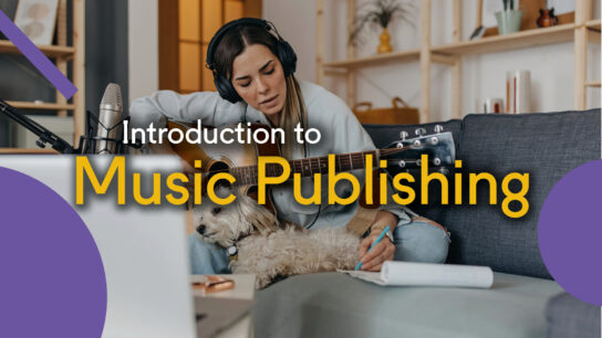 Help Musicians Business Skills For Musicians